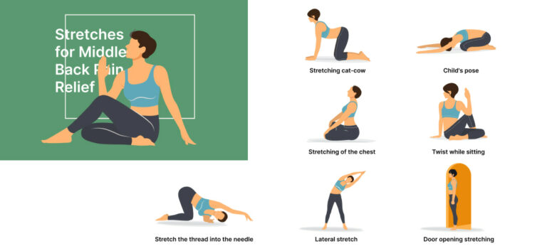 Top 15 Exercises for Middle Back - All Injury Rehab