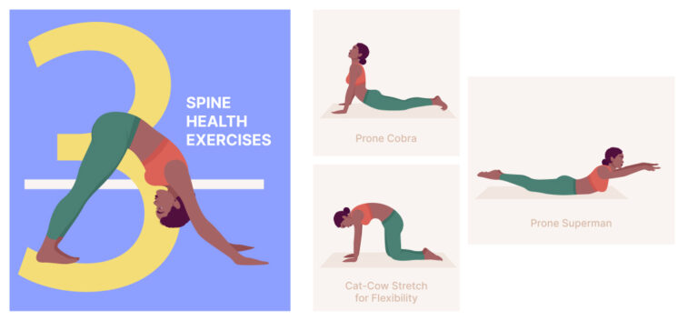 Top 3 Spine Health Exercises - All Injury Rehab