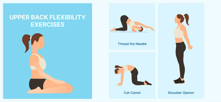 Top 7 Back Flexibility Exercises - All Injury Rehab